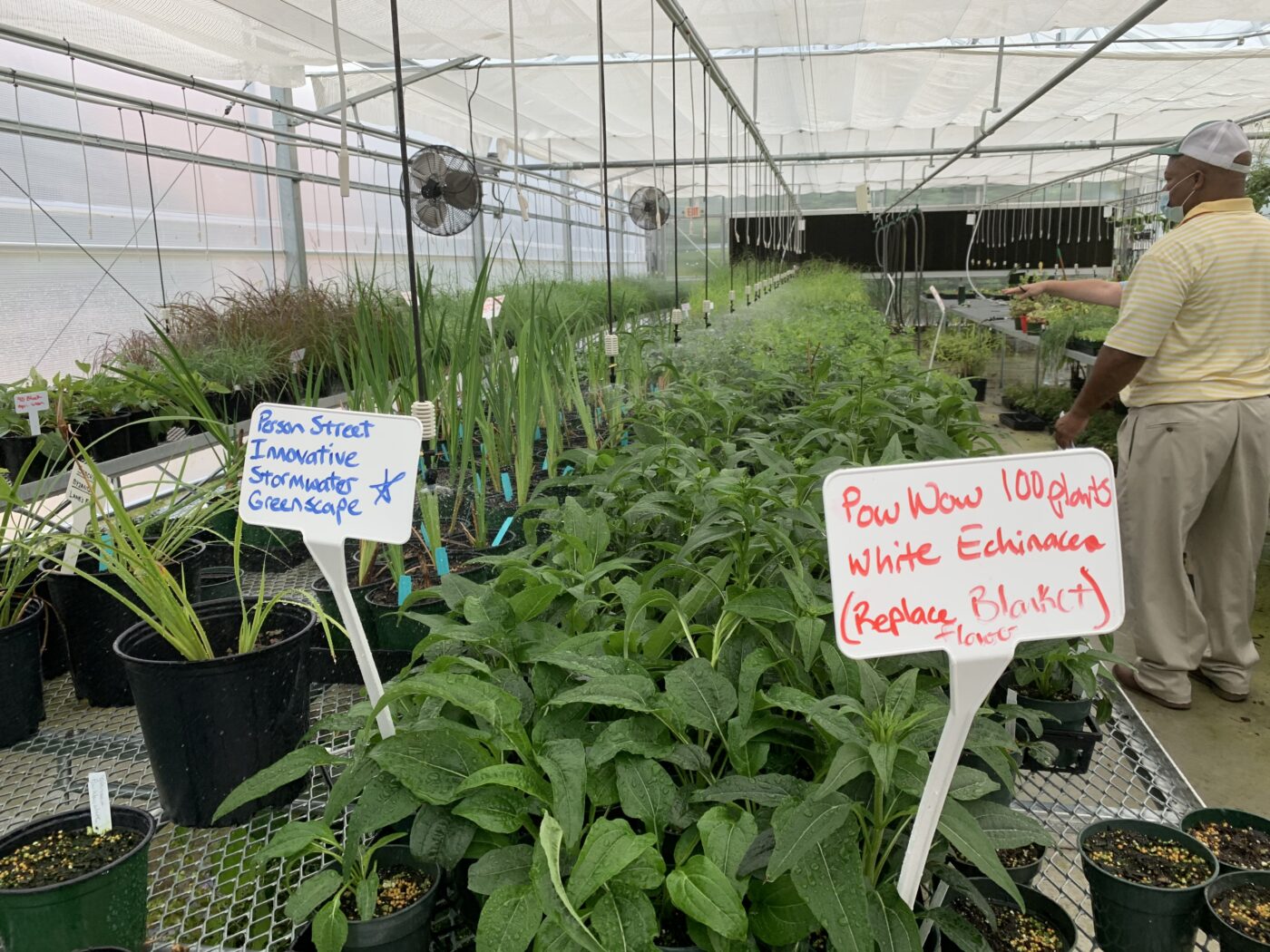 FTCC partners with City of Fayetteville on fall plantings in downtown area - Fayetteville ...