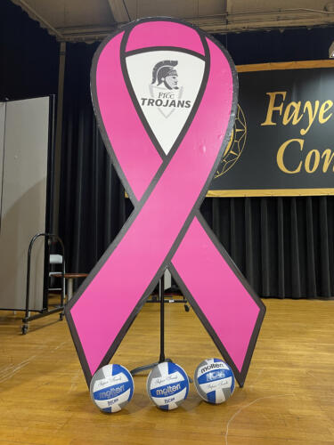 Volleyball- Dig Pink - Fayetteville Technical Community College